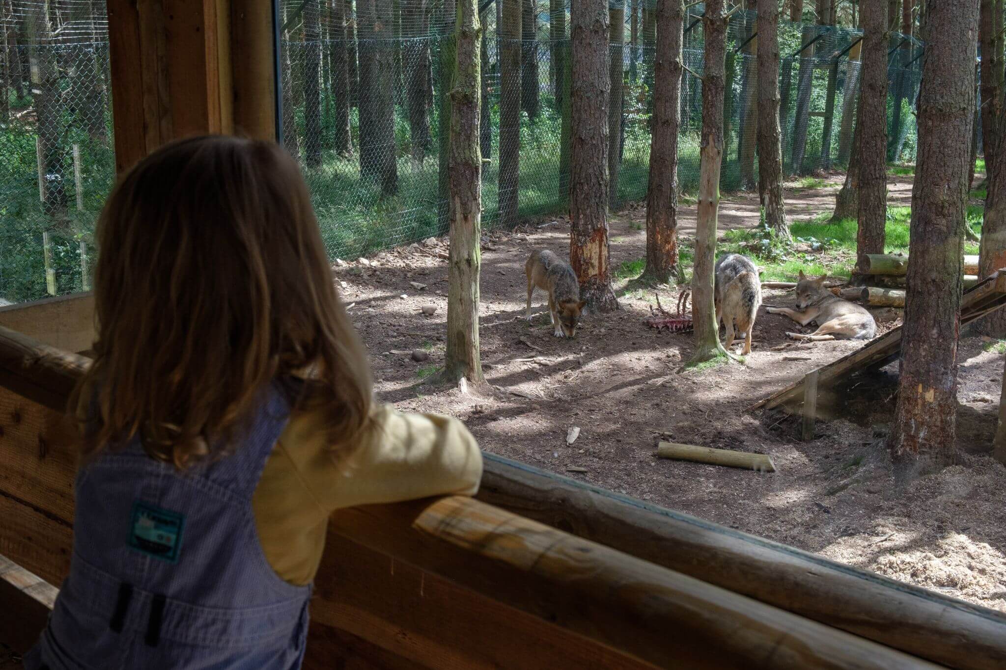 Die schottische Tierwelt - Tiere, Attraktionen & Zoos | VisitScotland