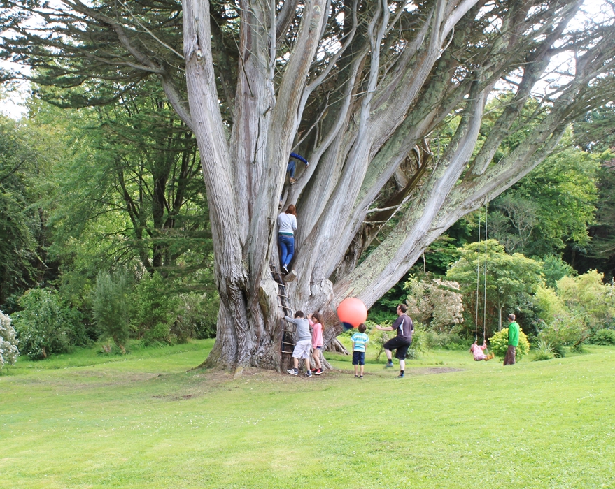 Colonsay House Gardens & Cafe, Isle of Colonsay – Gardens | VisitScotland