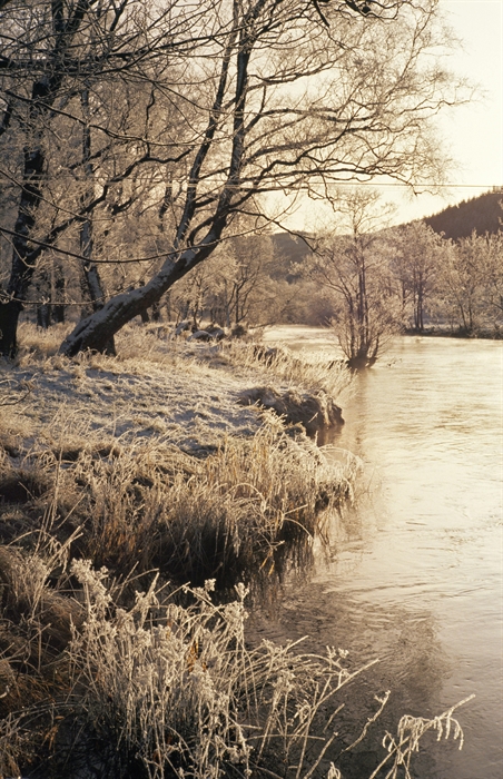 Strathyre Visitor Guide - Accommodation, Things To Do & More ...