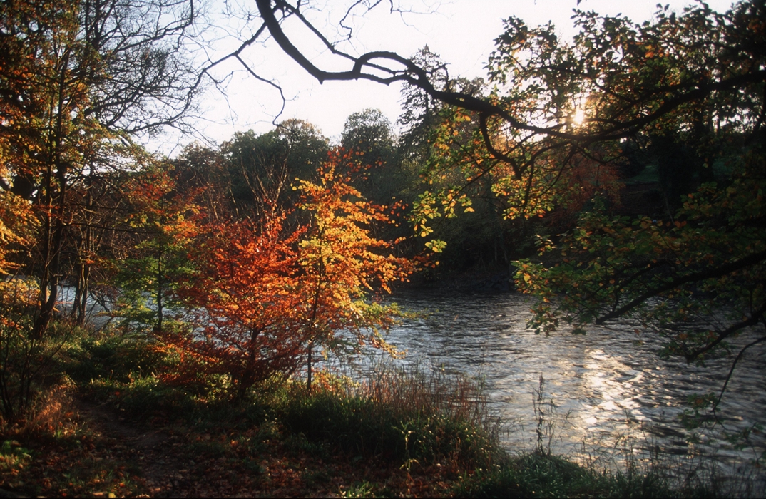 Crossford Visitor Guide - Accommodation, Things To Do & More ...