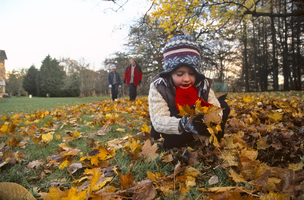 Gorebridge Visitor Guide - Accommodation, Things To Do & More ...