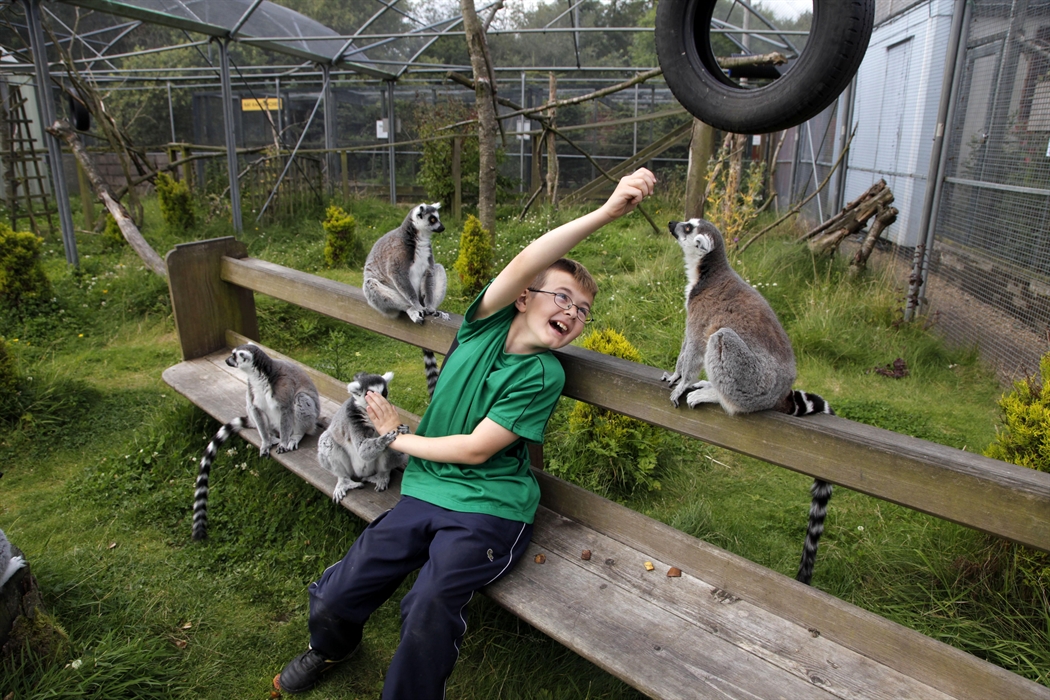 West Calder Visitor Guide - Accommodation, Things To Do & More ...