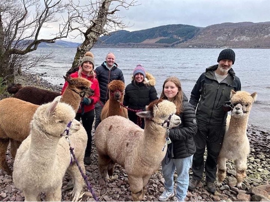 Loch Ness Alpacas, Inverness – Alpaca/Llama Trekking | VisitScotland