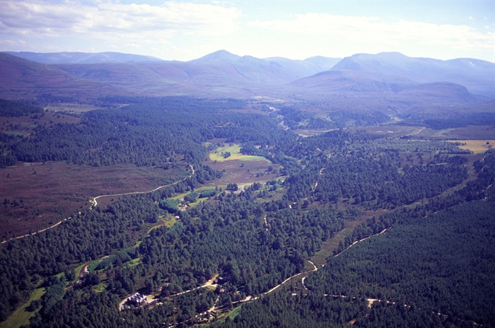Abernethy National Nature Reserve | VisitScotland