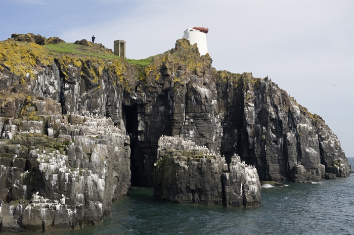 Isle of May National Nature Reserve | VisitScotland