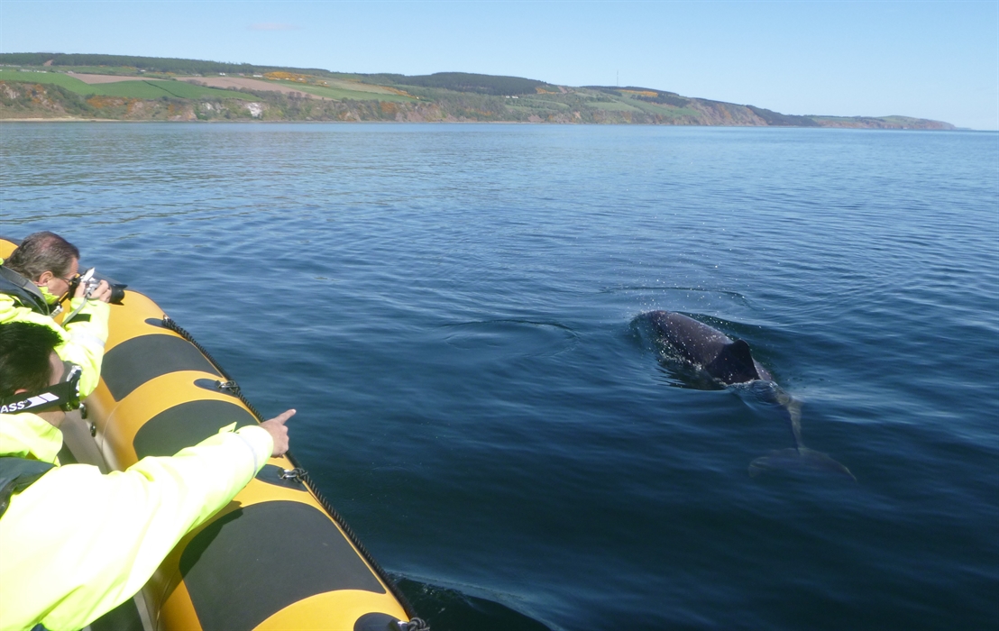 11 Amazing Activities & Things to Do in Inverness | VisitScotland