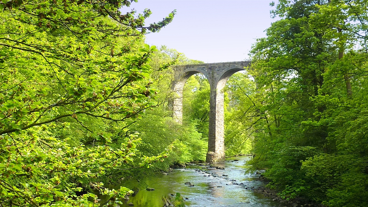 Almondell & Calderwood Country Park | VisitScotland