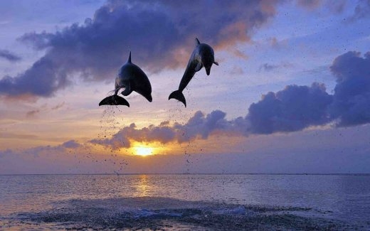 Balintore Inn (formerly Balintore Hotel), Tain – Inn | VisitScotland