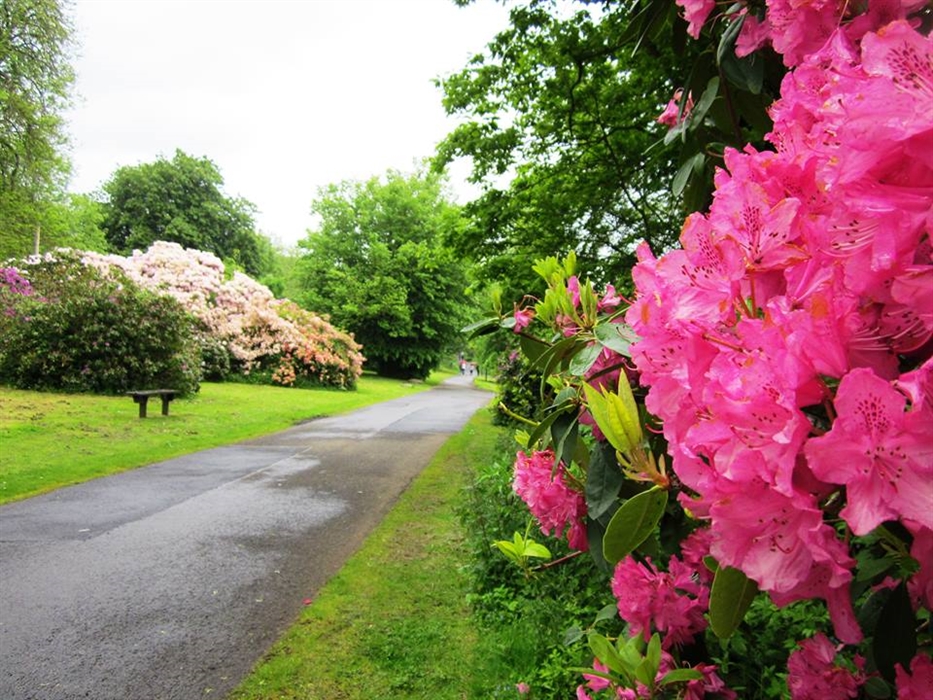 Almondell & Calderwood Country Park | VisitScotland