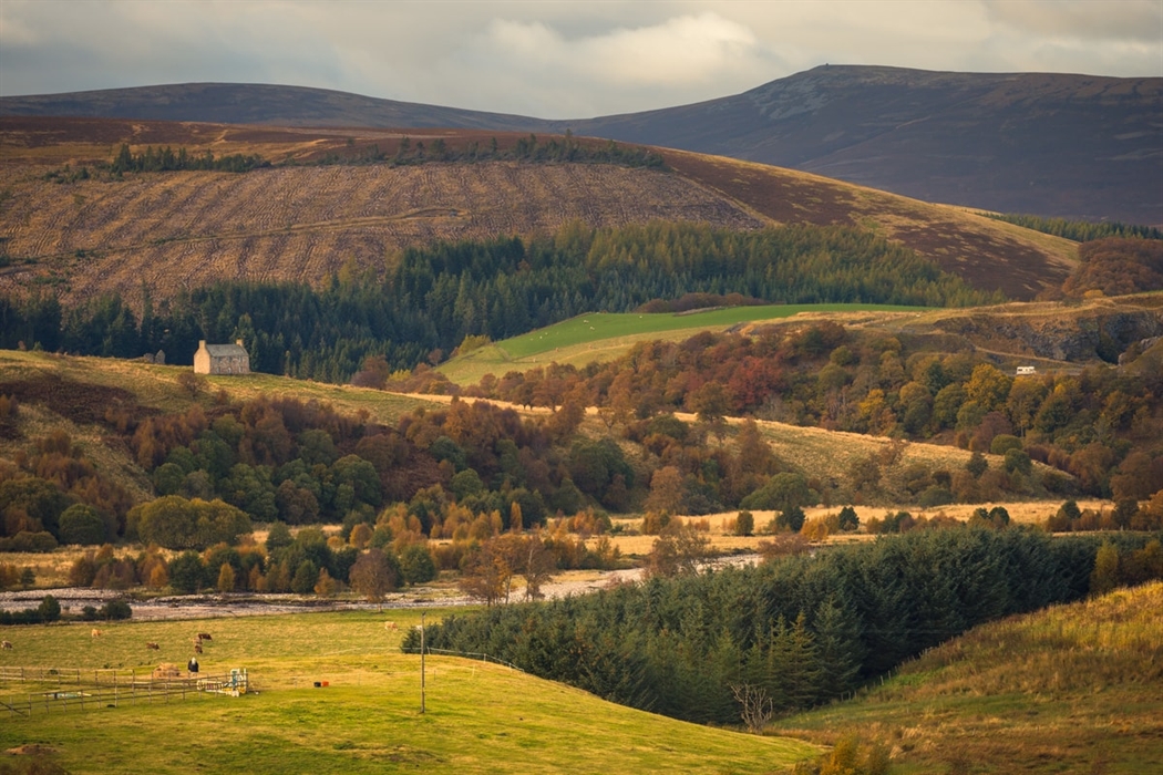 Tomintoul Visitor Guide - Accommodation, Things To Do & More ...