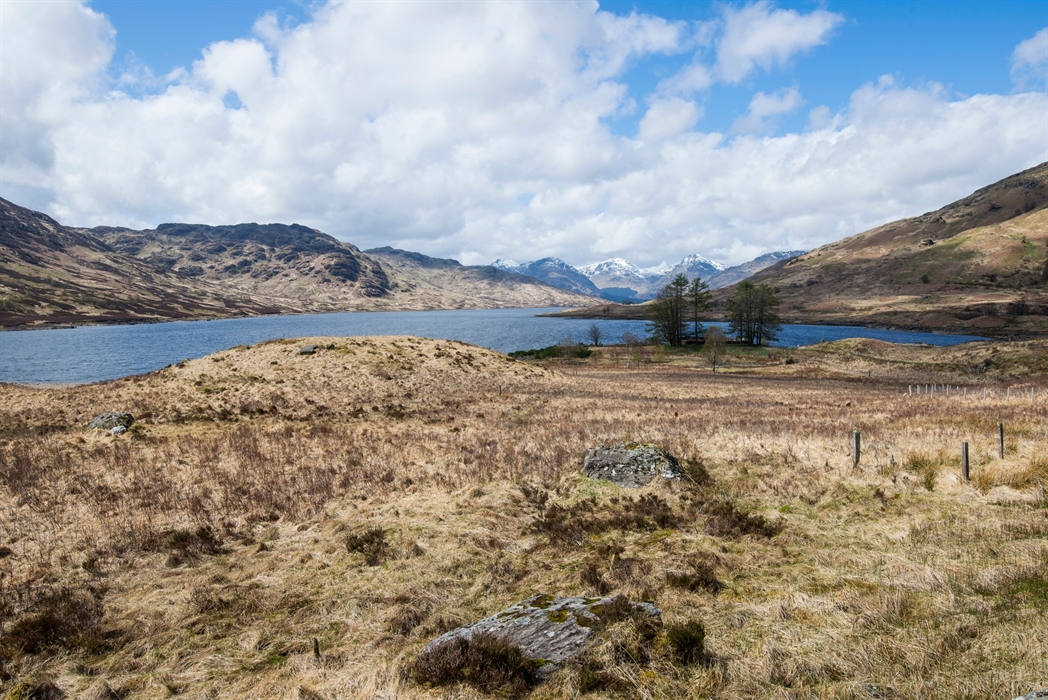 Arklet Falls, Inversnaid – Waterfalls | VisitScotland