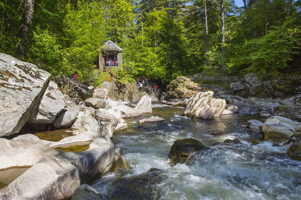 Craigvinean Forest, By Dunkeld – Forests & Woodlands | VisitScotland